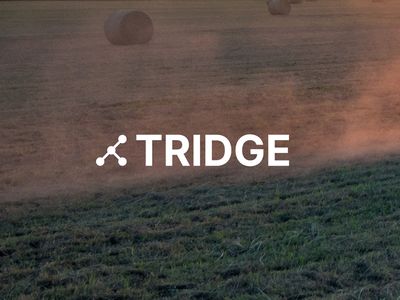 TRIDGE 채용 | 디자인팀 주니어 그래픽 디자이너 (B2B) - Junior Graphic Designer - 슈퍼루키